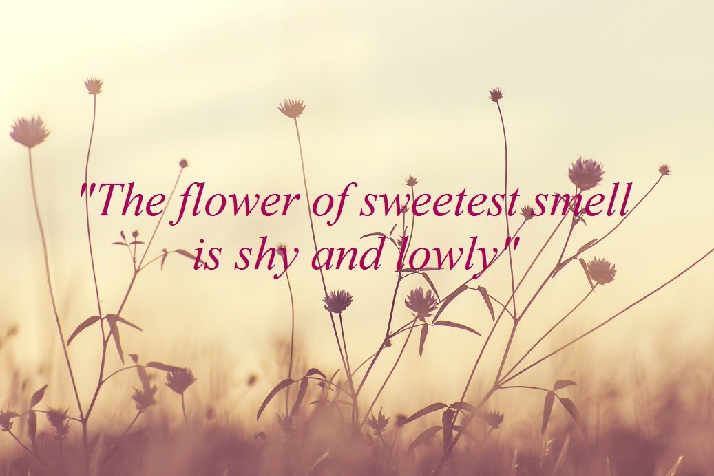 The flower of sweetest smell is shy and lowly – Voice of British Muslim ...