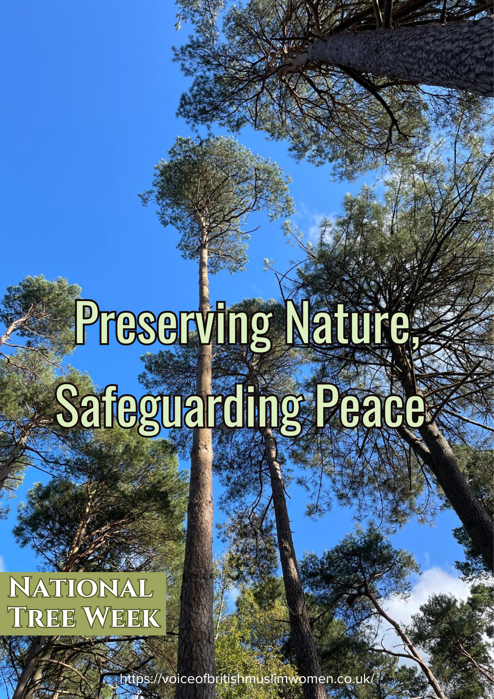 Trees: Preserving Nature, Safeguarding Peace – Voice of British Muslim ...